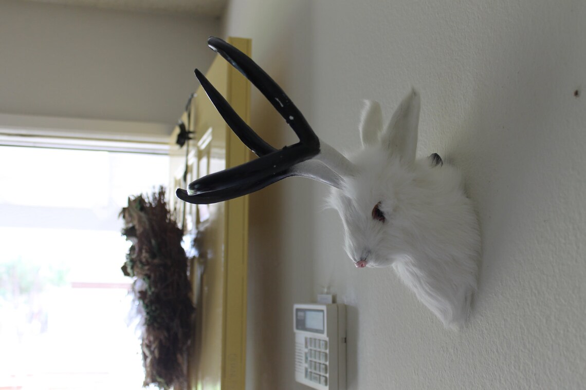White Jackalope Head Mount Rabbit With Antlers Furry Animal - Etsy