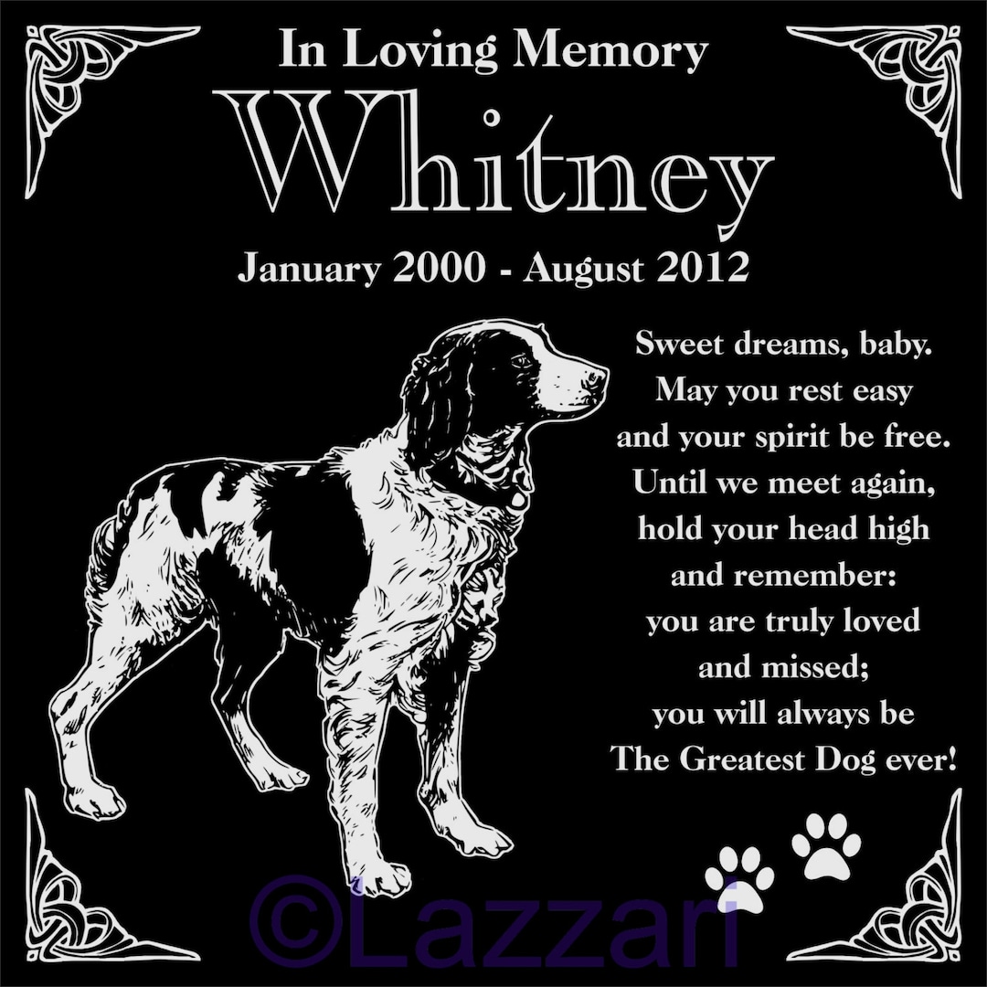 Personalized Brittany Spaniel Dog Pet Memorial 12x12 Inch Custom ...