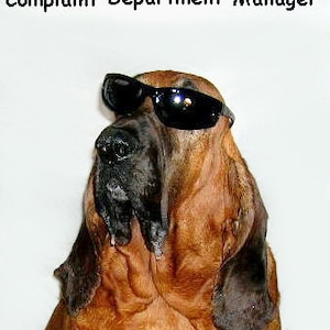 Personalized Schipperke Dog Pet Memorial 12x6 Inch Custom Engraved ...