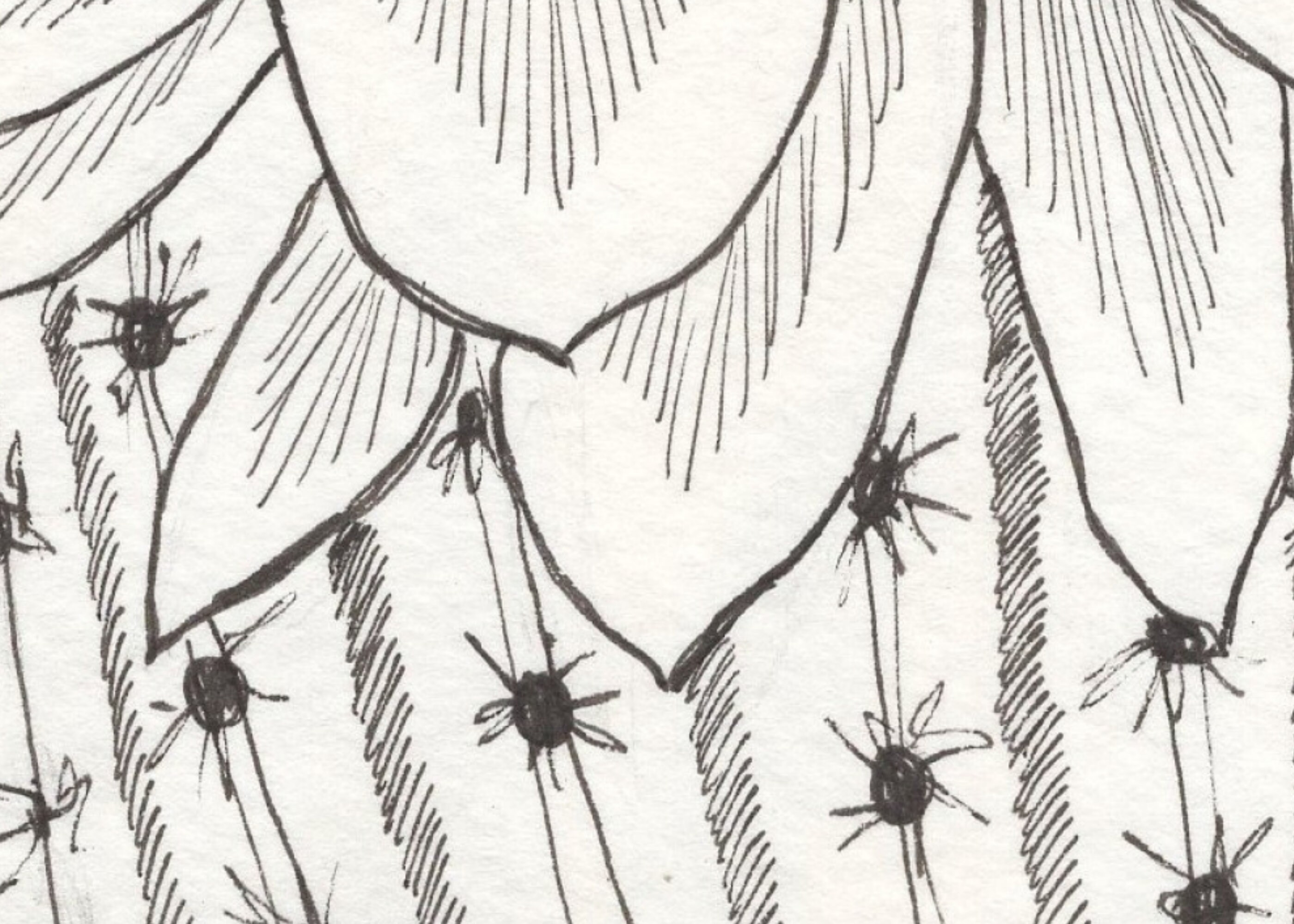 Pen & Ink Cactus, Botanical Print, Cactus Drawing, Cactus Print, Cactus ...