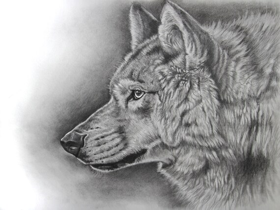 Wolf Sketch-print | Etsy