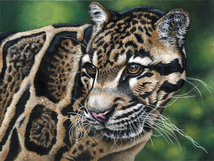 Clouded Leopard-print - Etsy