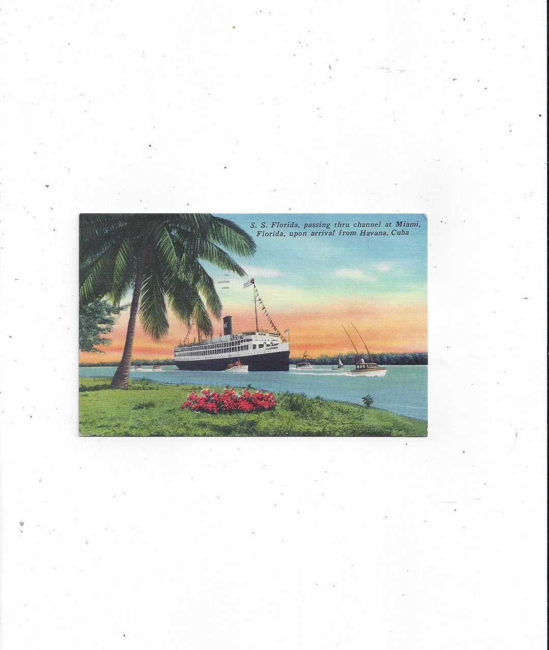 1953 Linen Postcard of SS Florida Cruise Ship, Miami, Florida, Posted ...