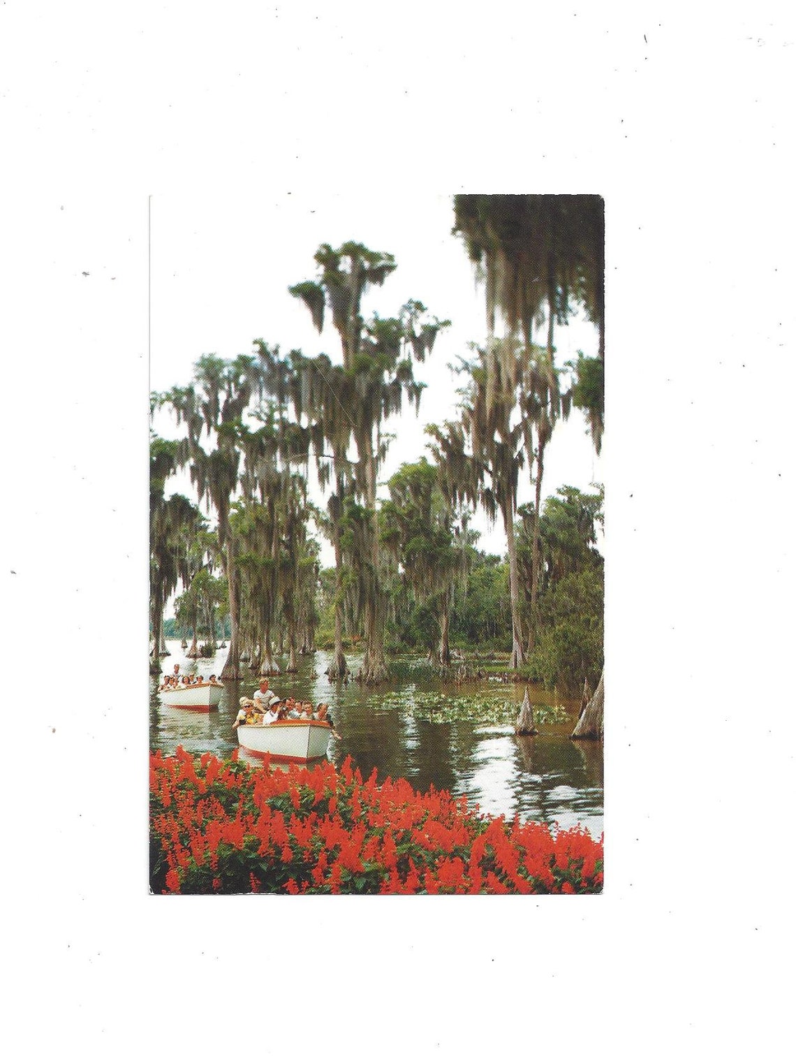 1962 Postcard of Cypress Gardens Florida Sightseeing Boat | Etsy