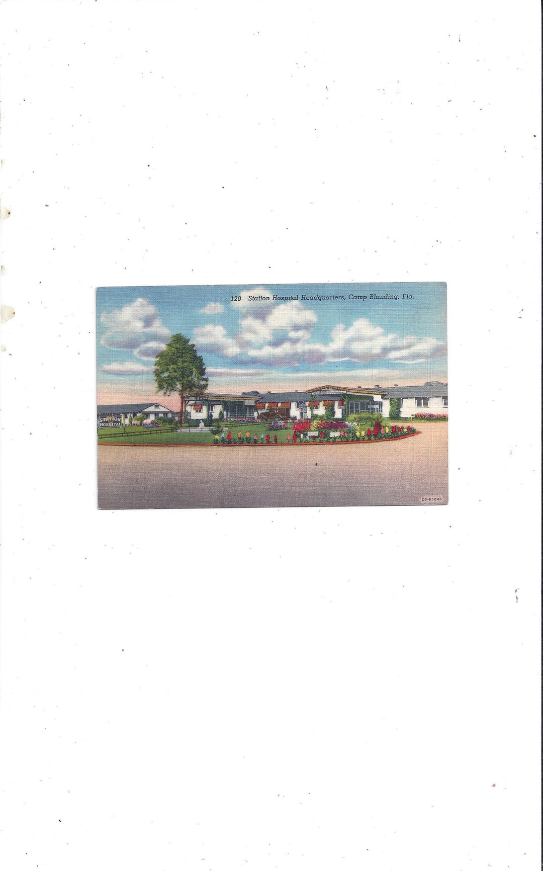 Camp Blanding Linen Postcard, Starke, Florida, Station Hospital ...