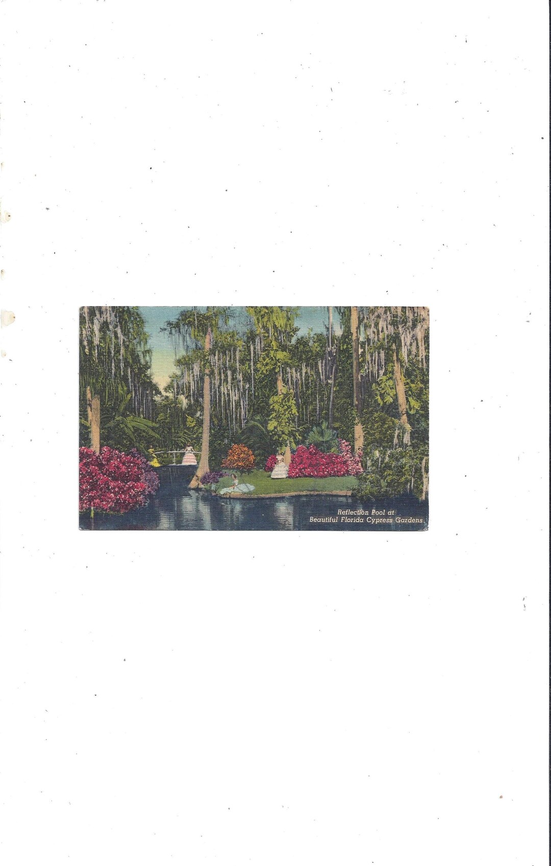 1954 Cypress Gardens Linen Postcard, Florida, Posted With Message, 2 ...
