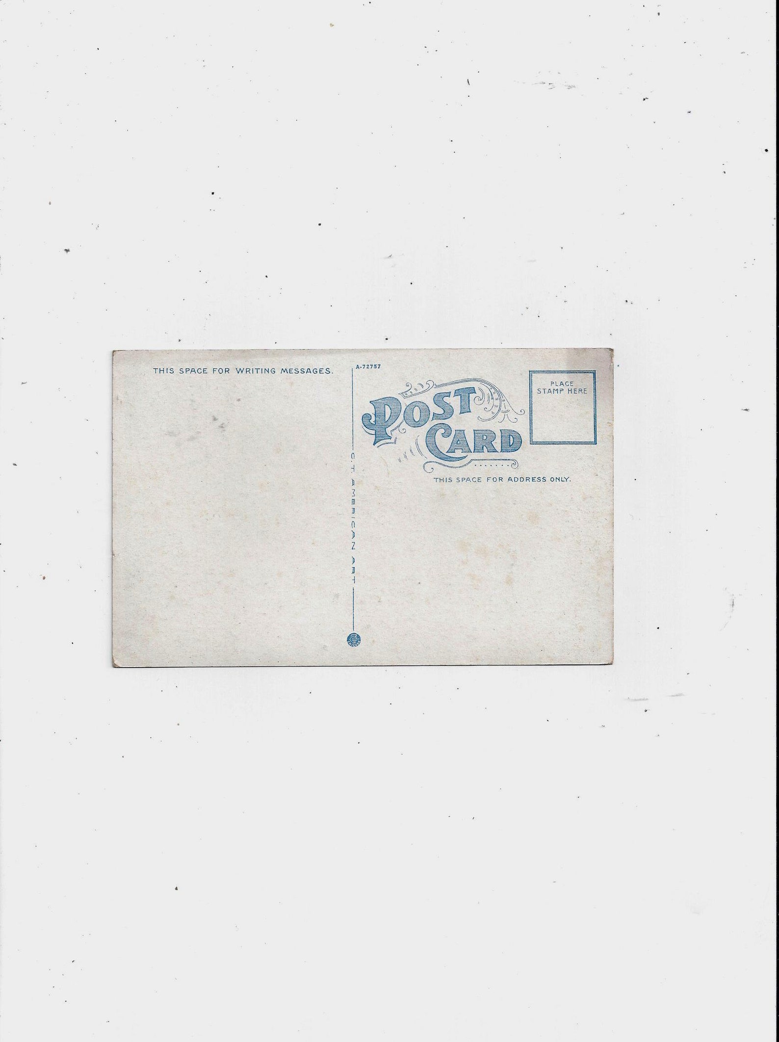 1930s Postcard of Staples' Shore Lake Assawampsett - Etsy