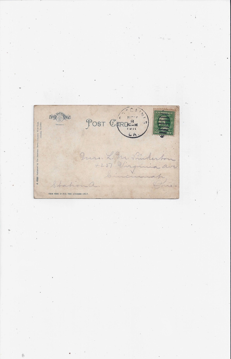 1911 Cocoanut (coconut) Palm Tree Postcard, Florida, Posted With 1 Cent ...