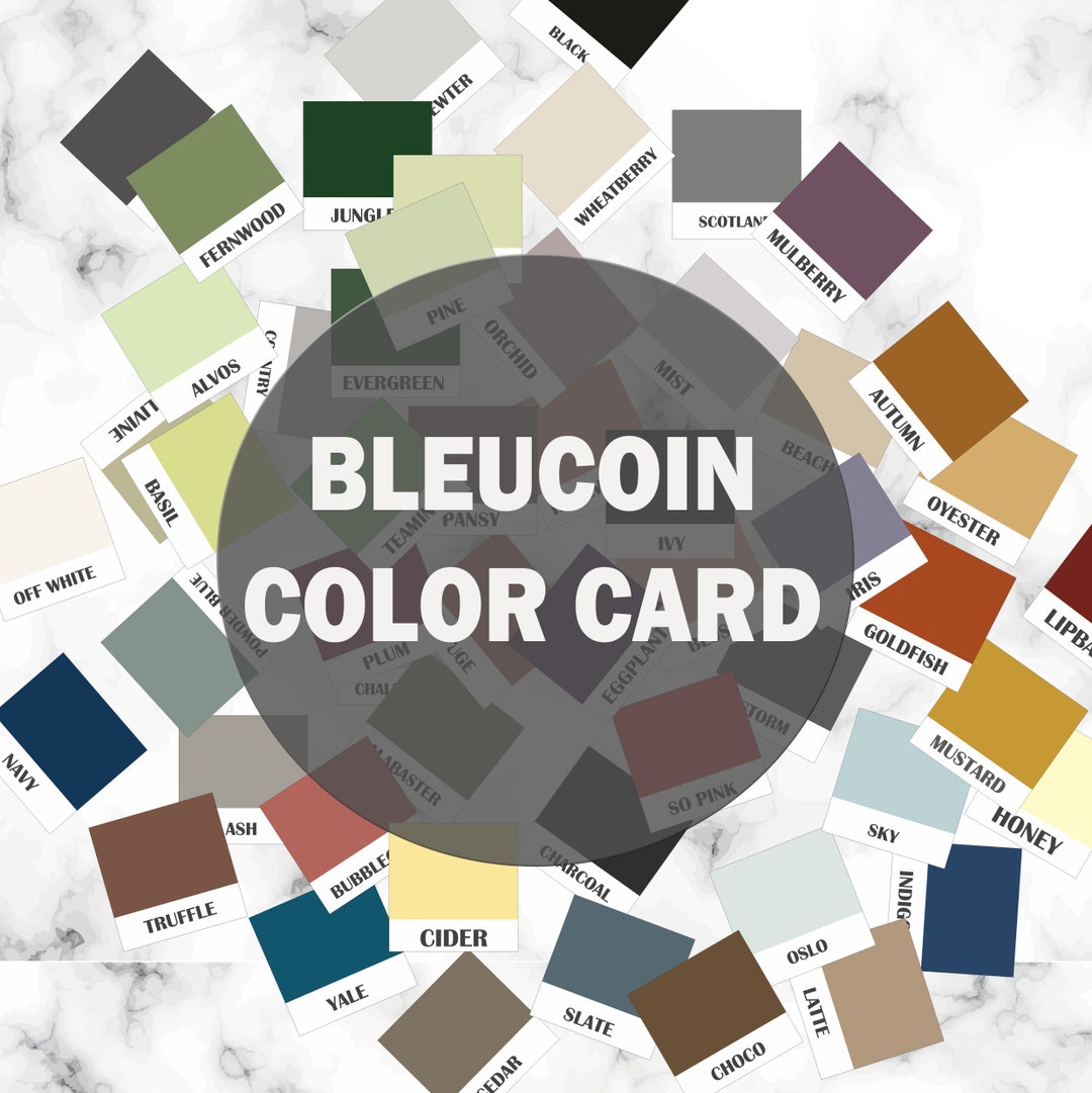 Bleucoin Color Card Chips: Set of 54 Color Chips - Etsy