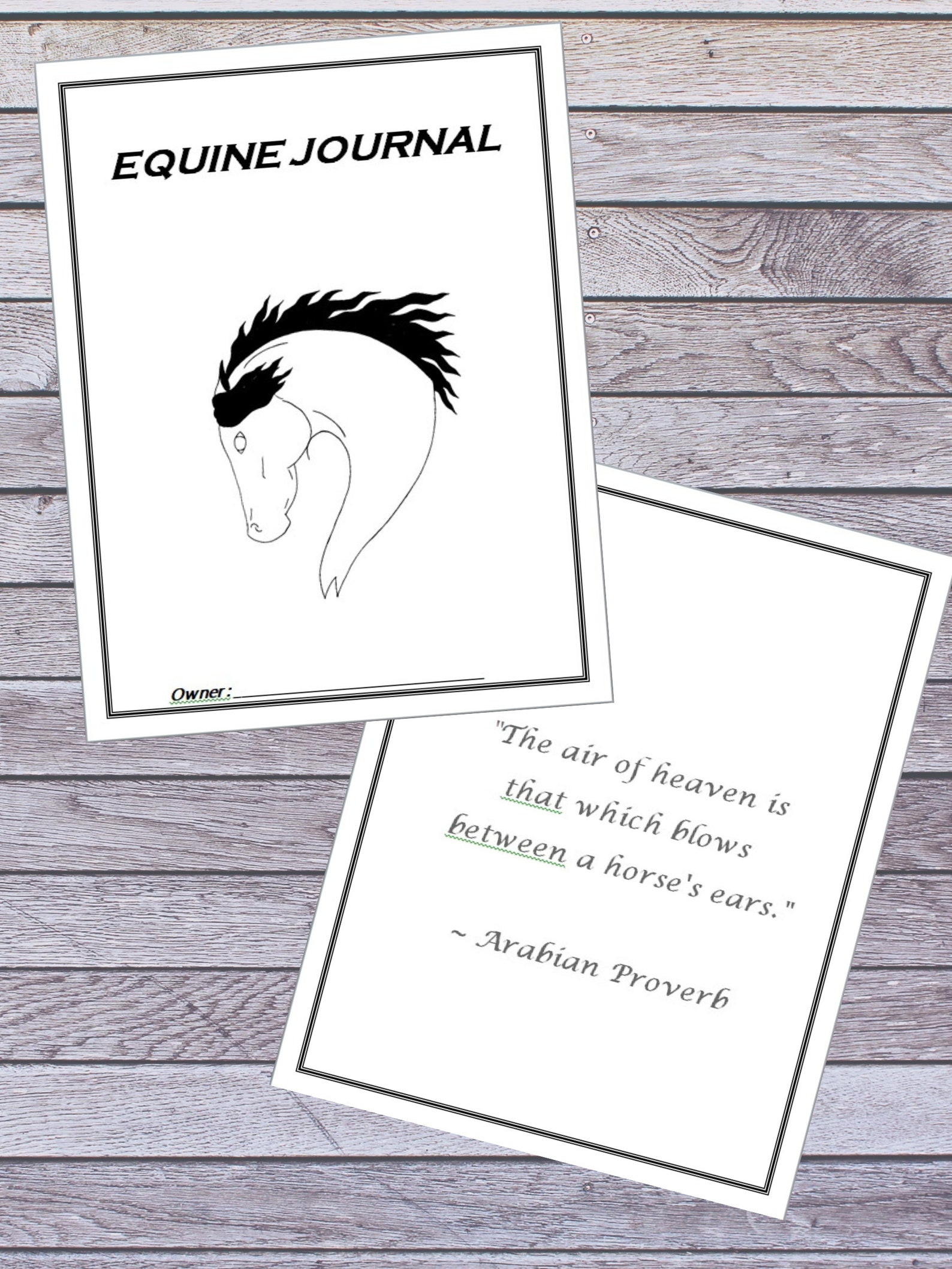 Equine Journal System Boarding Stable Edition Letter/a4 - Etsy