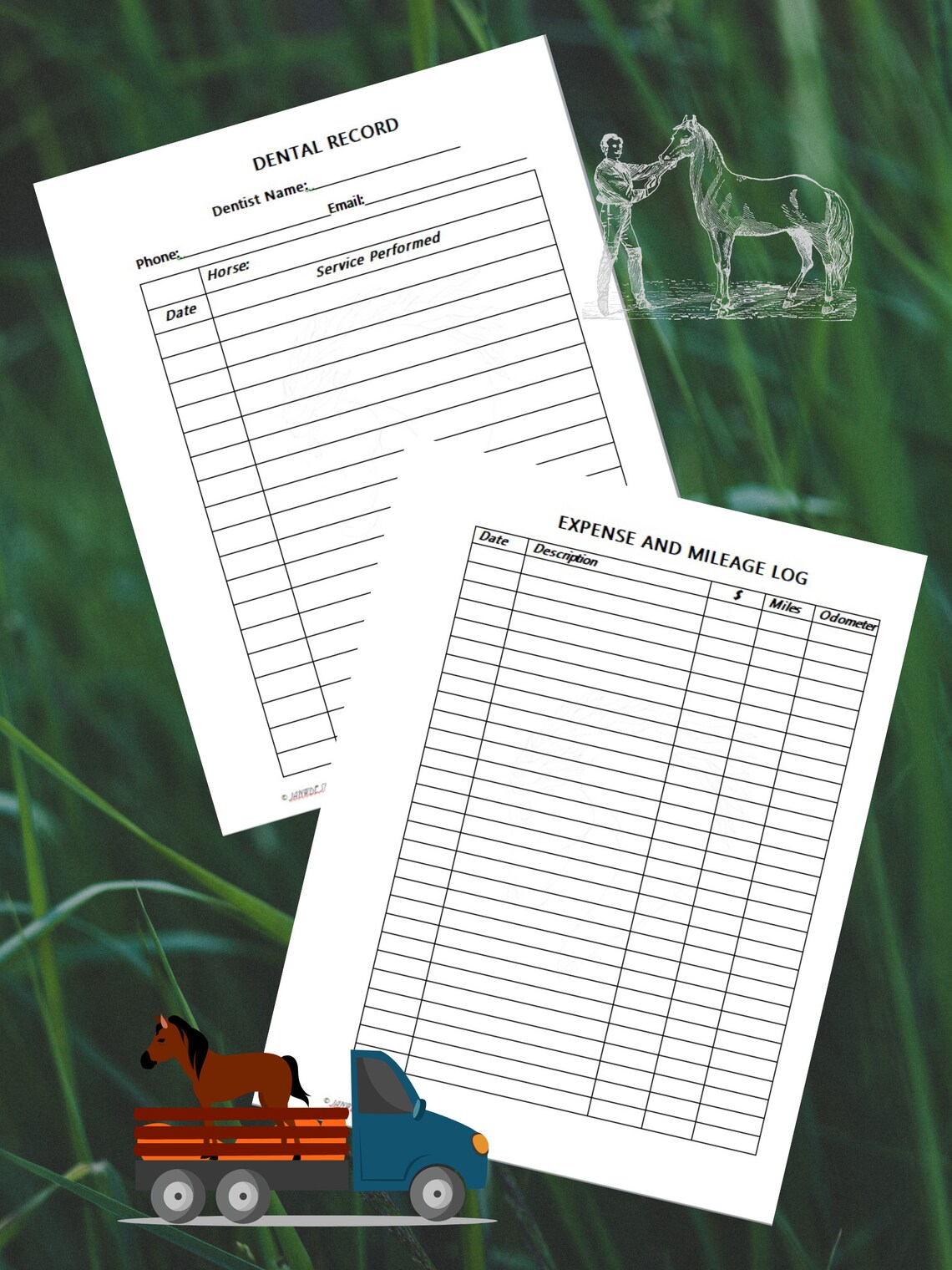 Equine Journal System Boarding Stable Edition Letter/a4 - Etsy
