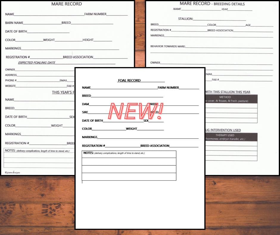 Equine Breeding Journal: Horse Record Keeping System (letter/a4) - Etsy