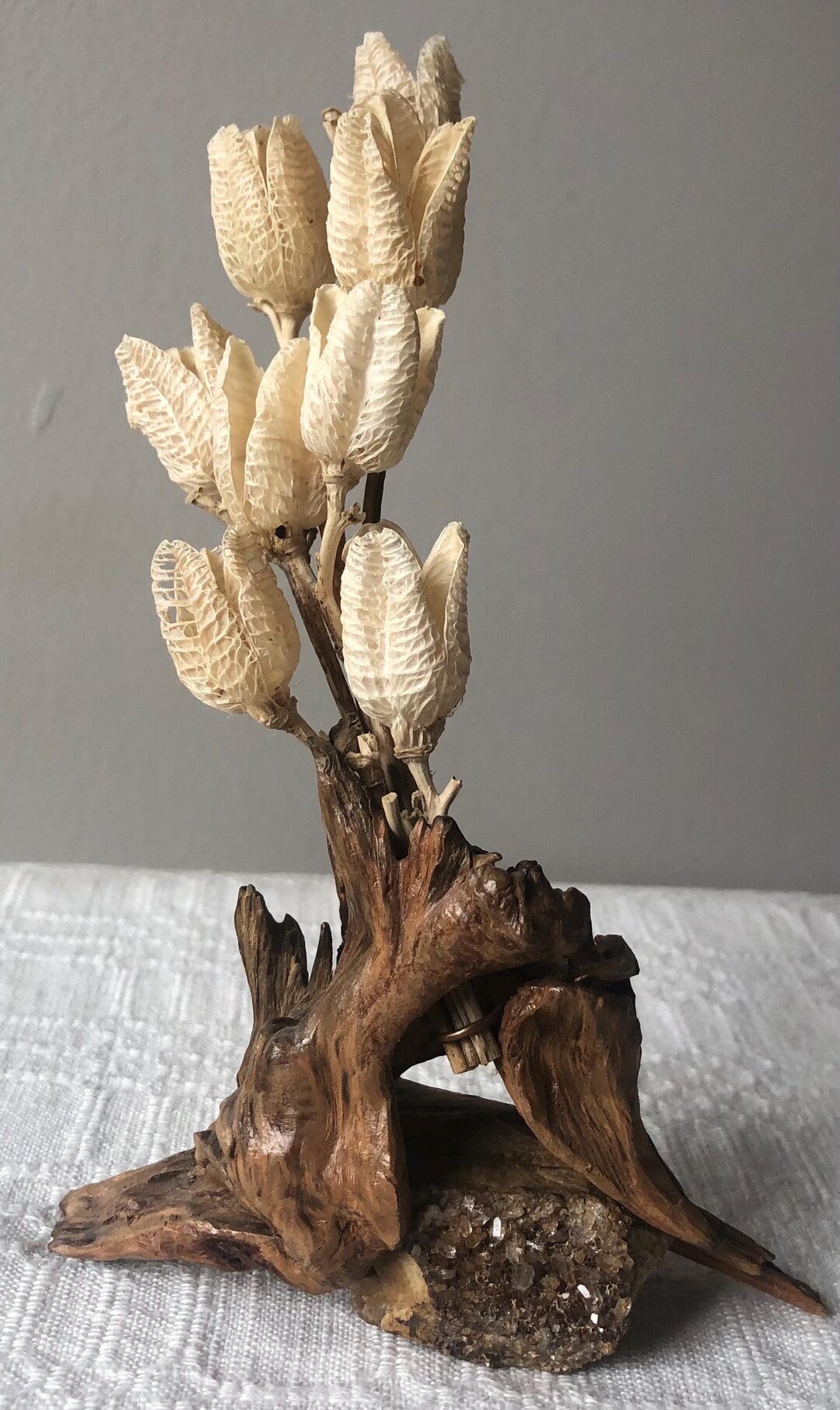 Daylily Seed Pods Displayed in Sculpted Wood Resembling a Hummingbird ...