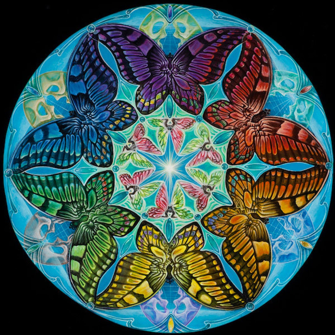 Metamorphosis Paper Print by Morgan Mandala - Butterfly Mandala 10.5in ...
