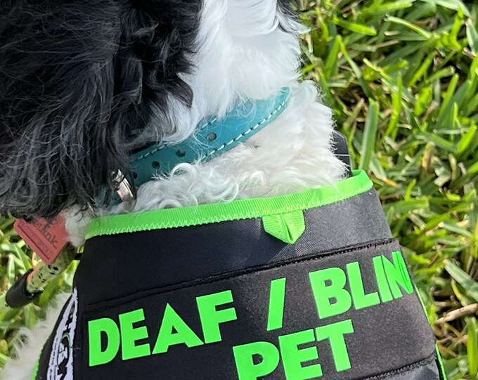 Deaf-blind Dog Alert Vest Kit - Etsy