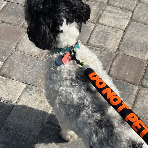 Do Not Pet Safety Leash Wrap - Etsy