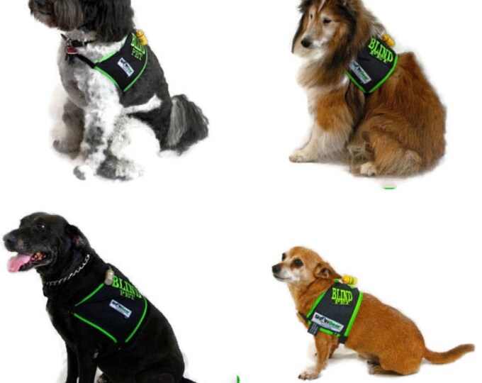 Blind Dog Alert Vest Kit - Etsy