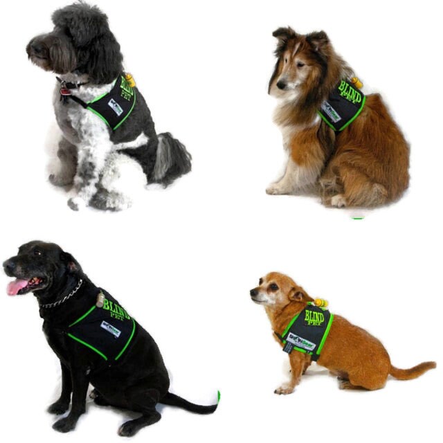 Blind Dog Alert Vest Kit - Etsy