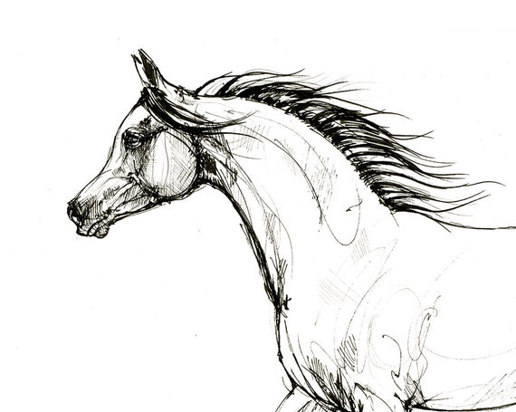 Arabian Horse Running Line Art