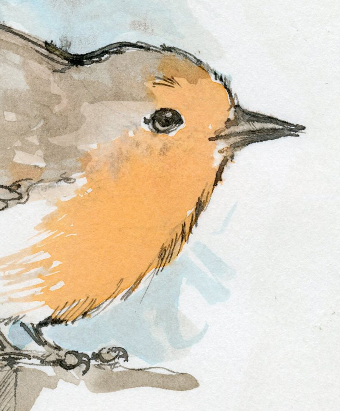 Robin, Wild Bird, Original Ink Painting on Paper - Etsy