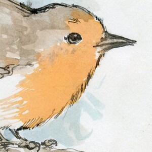Robin, Wild Bird, Original Ink Painting on Paper - Etsy