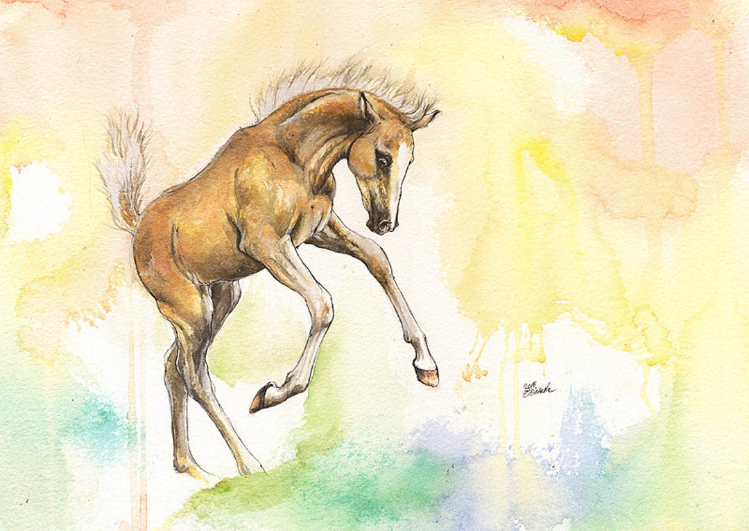 Prancing Foal, Pony, Equine Art, Horse Portrait, Equestrian, Loriginal ...