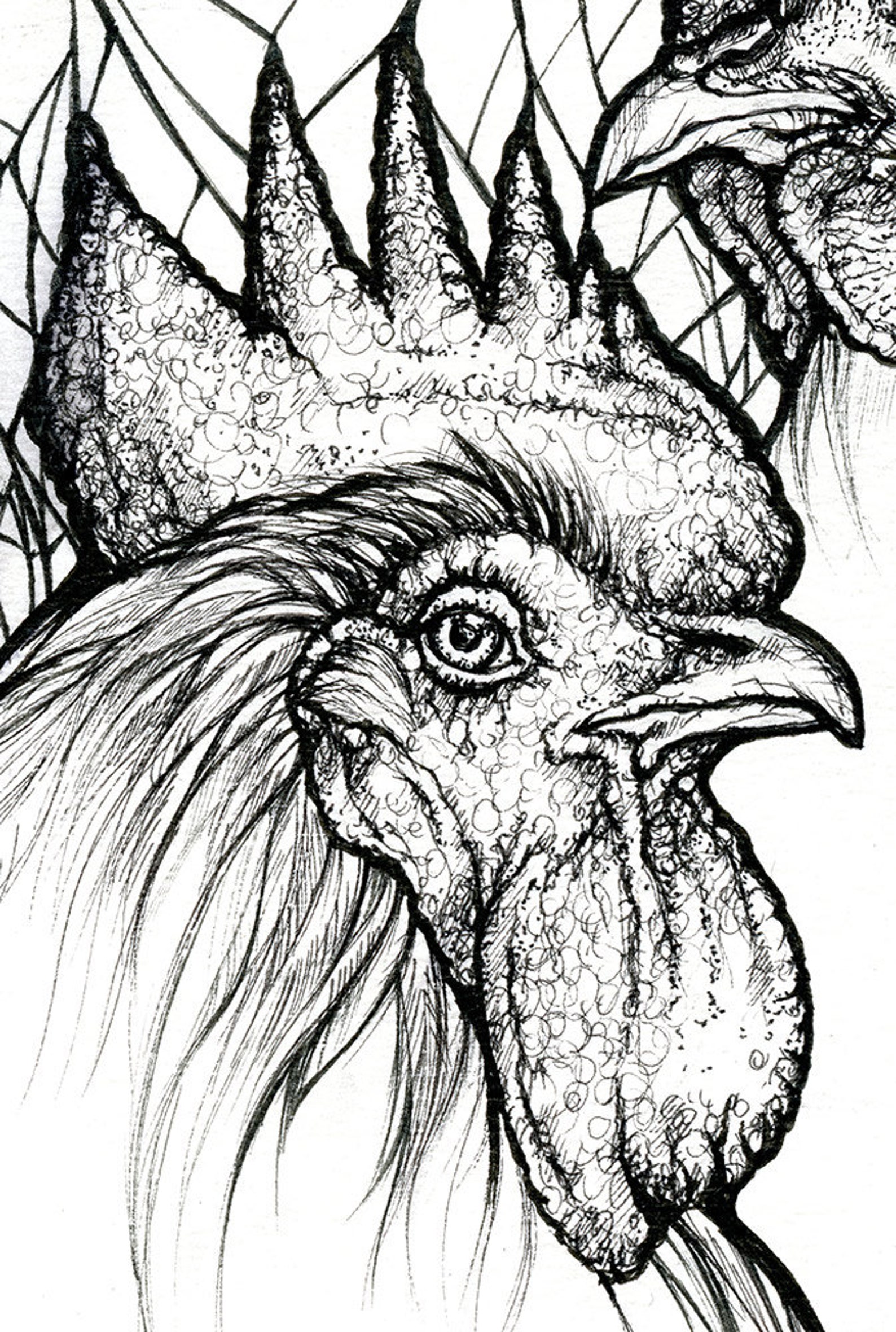 Rooster and Hen, Original Pen Drawing on Paper - Etsy