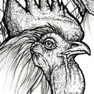 Rooster and Hen, Original Pen Drawing on Paper - Etsy