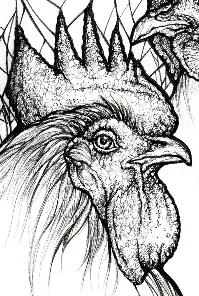 Rooster and Hen, Original Pen Drawing on Paper - Etsy
