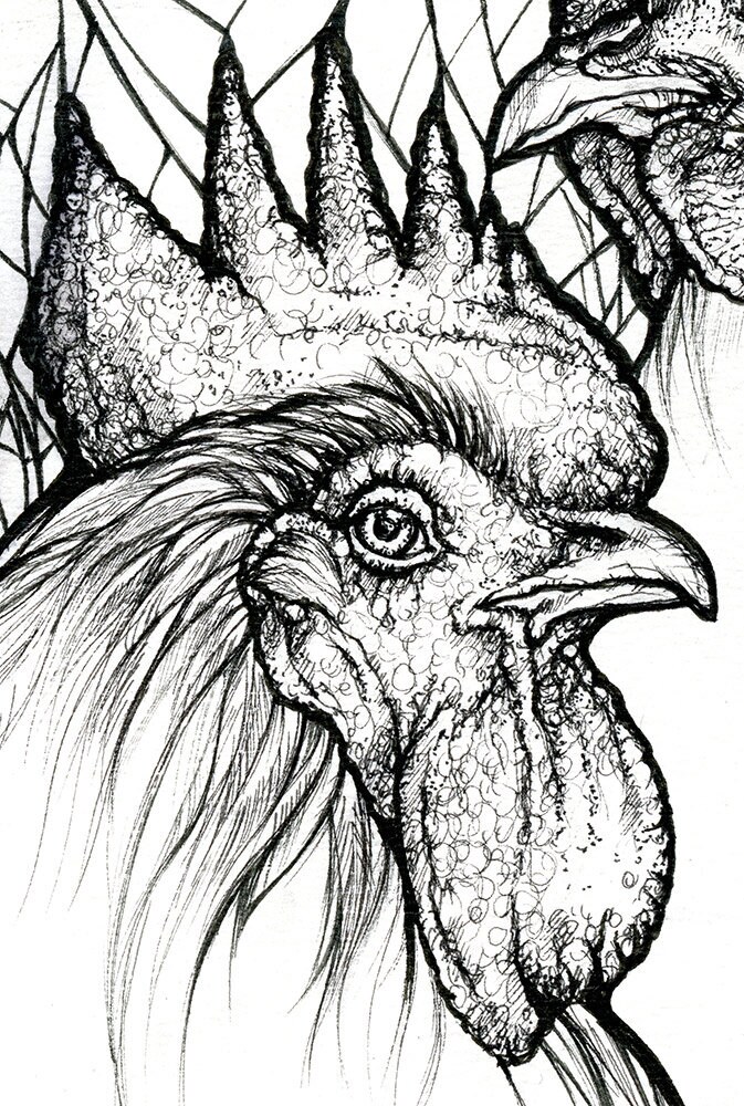 Rooster and Hen, Original Pen Drawing on Paper - Etsy