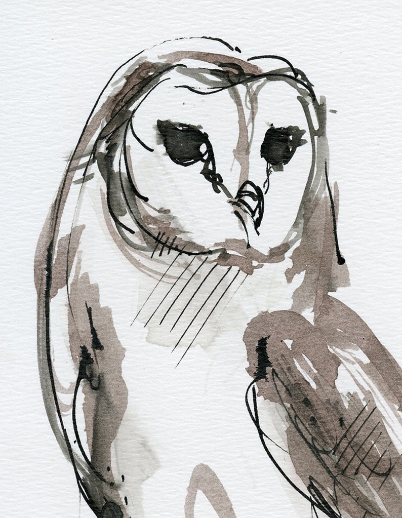 Barn Owl Illustration Original Ink Drawing on Paper - Etsy