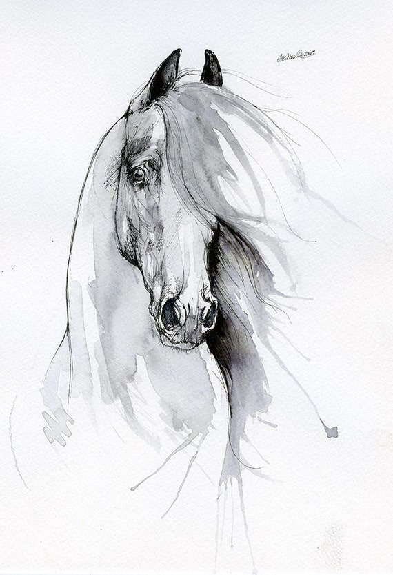 Pen & Ink equine art Horse portrait original ink drawing on paper Art ...