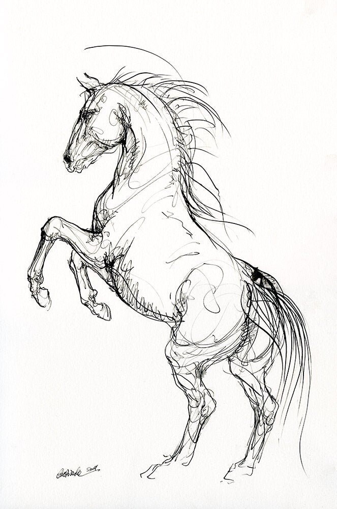Pen & Ink equine art Horse portrait original ink drawing on paper Art ...