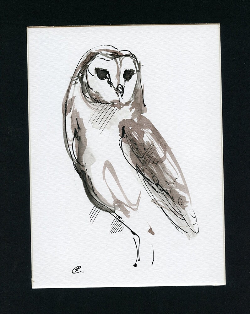 Barn Owl Illustration, Original Ink Drawing on Paper - Etsy