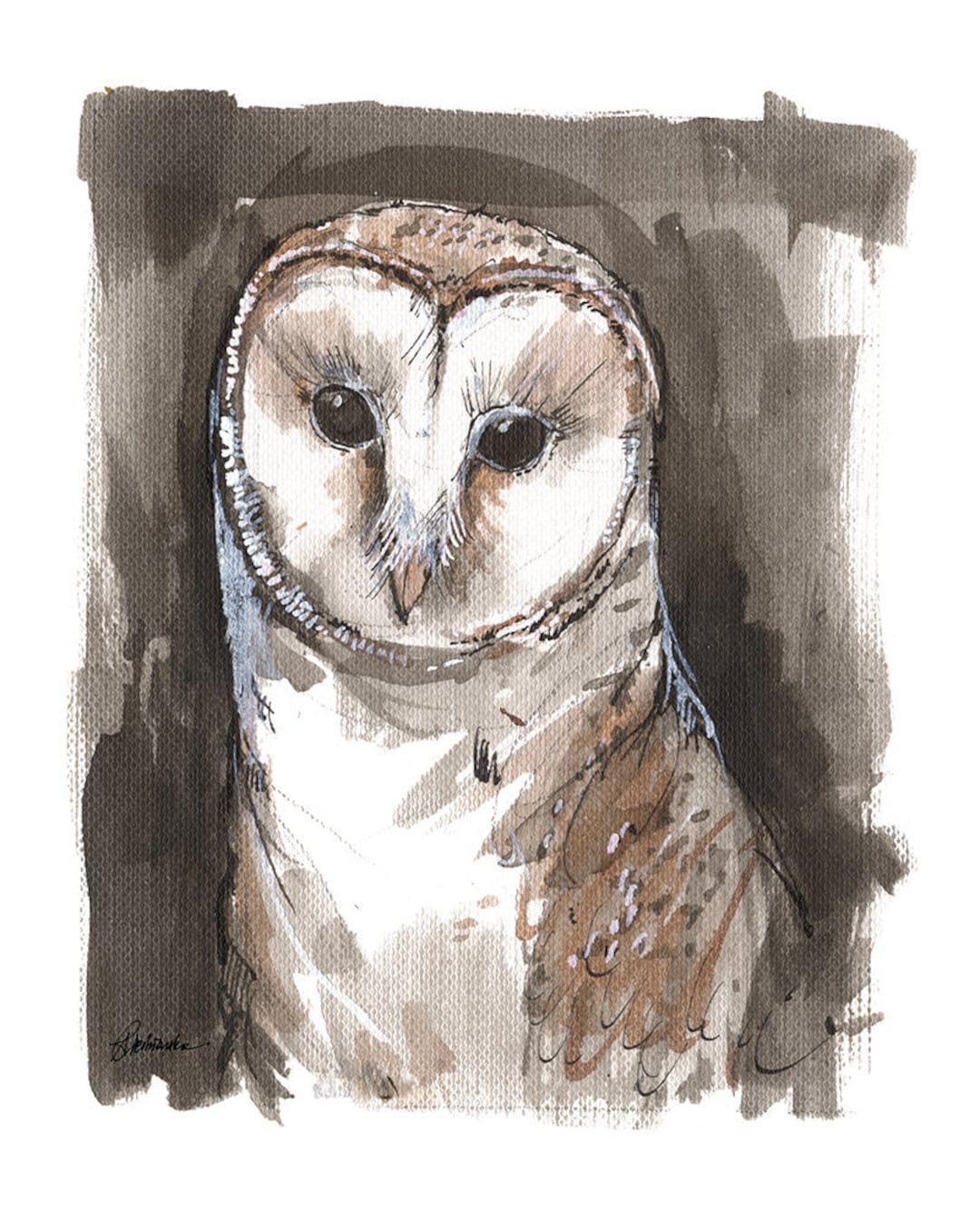 Barn Owl Bird of Prey Wildlife Art Nature Original - Etsy