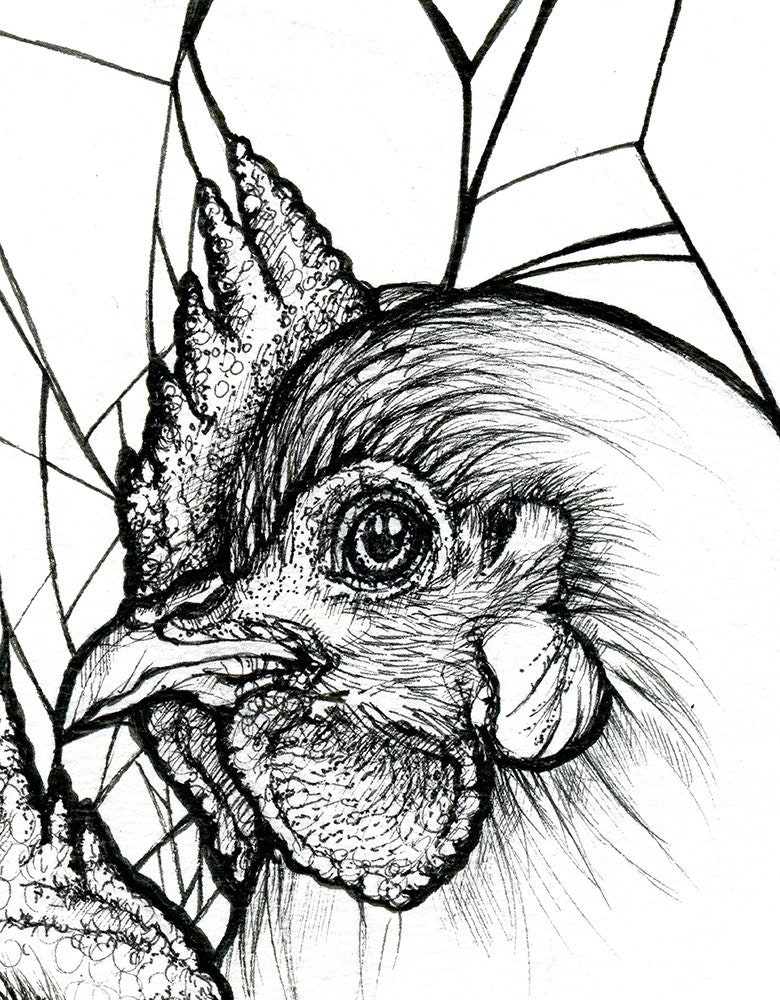 Rooster and Hen, Original Pen Drawing on Paper - Etsy