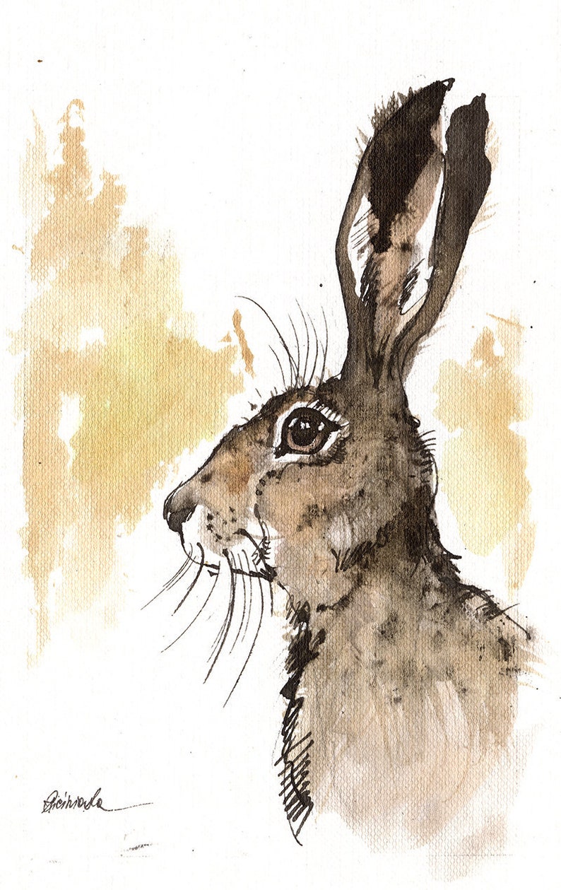 Hare Rabbit Bunny Original Ink Painting on Paper - Etsy