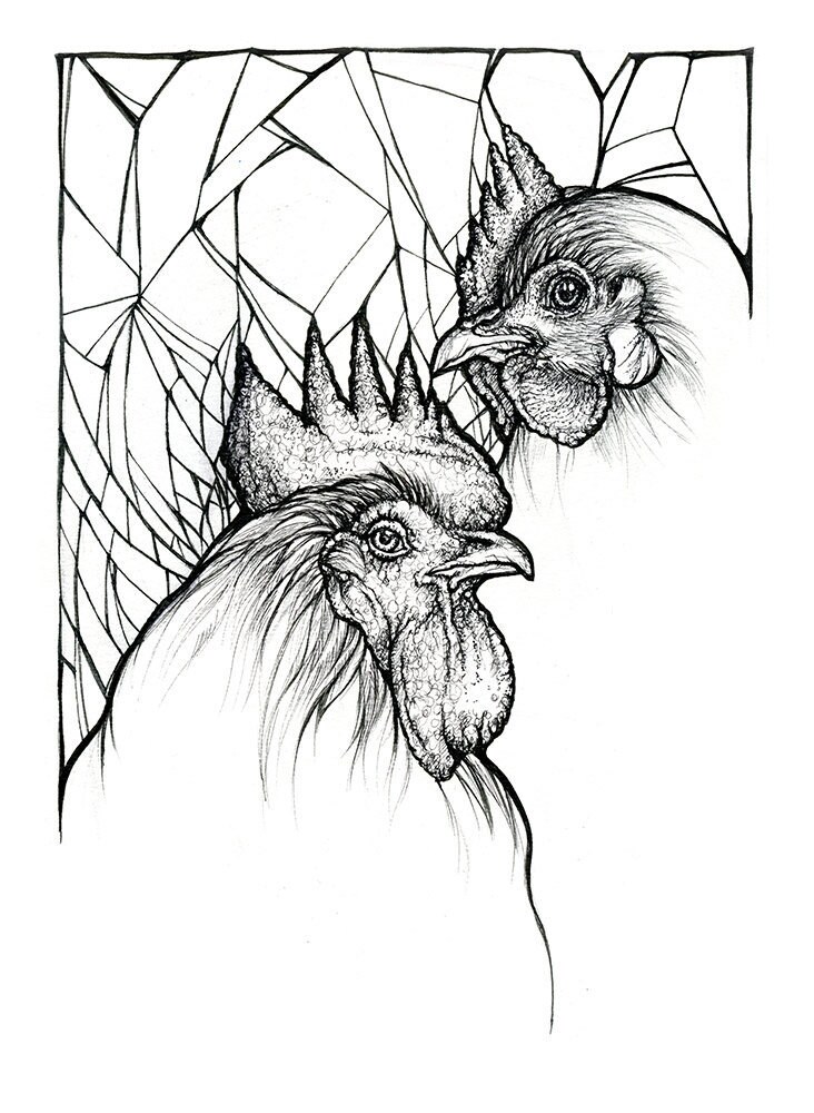 Rooster and Hen, Original Pen Drawing on Paper - Etsy
