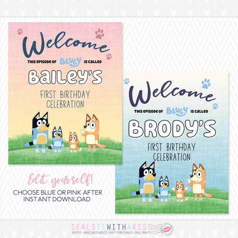 Easy Editable Instant Download! Bluey Girl Boy Pink Blue Birthday ...