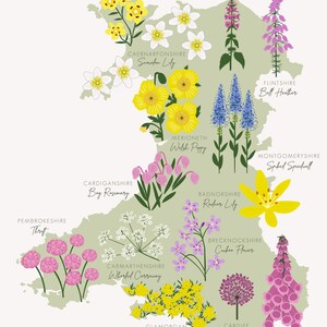 Flower Map of Wales, Blodau Cymru, Welsh Flowers Map, Welsh County Map ...