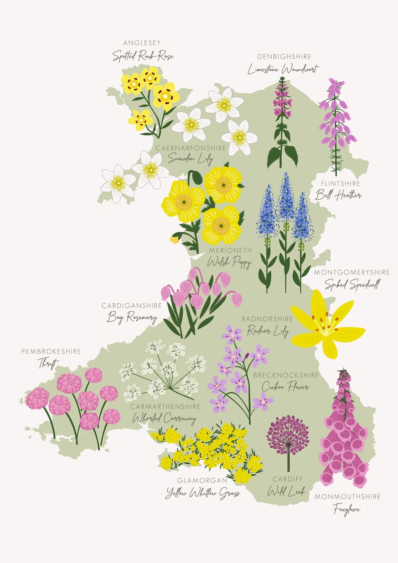 Flower Map of Wales Blodau Cymru Welsh Flowers Map Welsh - Etsy