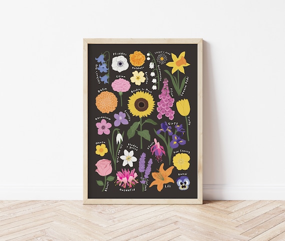 Welsh Flower Drawing