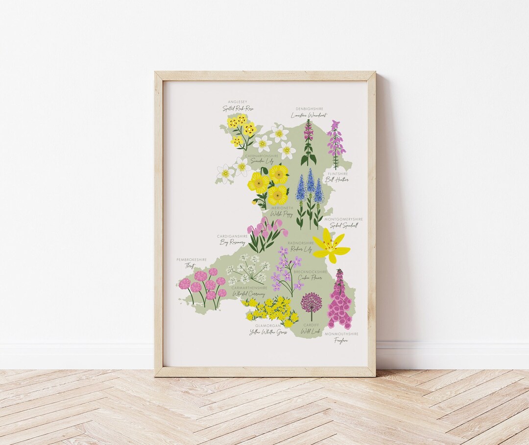 Flower Map of Wales, Blodau Cymru, Welsh Flowers Map, Welsh County Map ...
