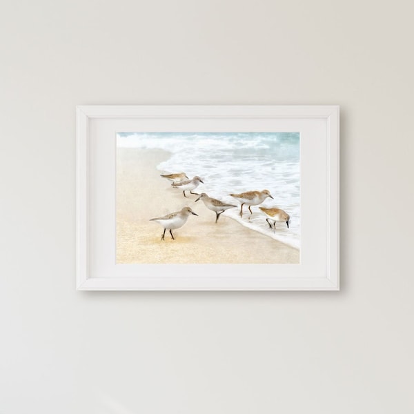 Sandpiper Painting - Etsy