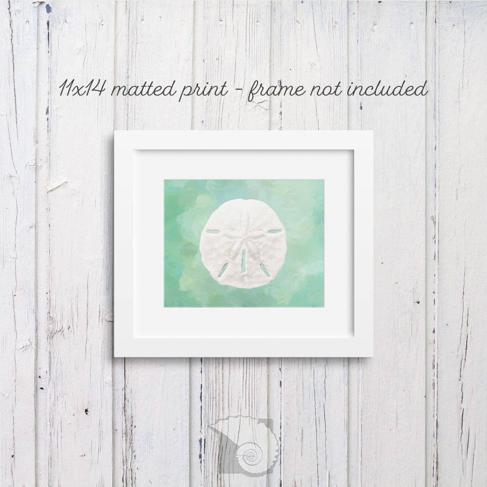 Sand Dollar Wall Art Coastal Art Sea Shell Art Art Prints | Etsy