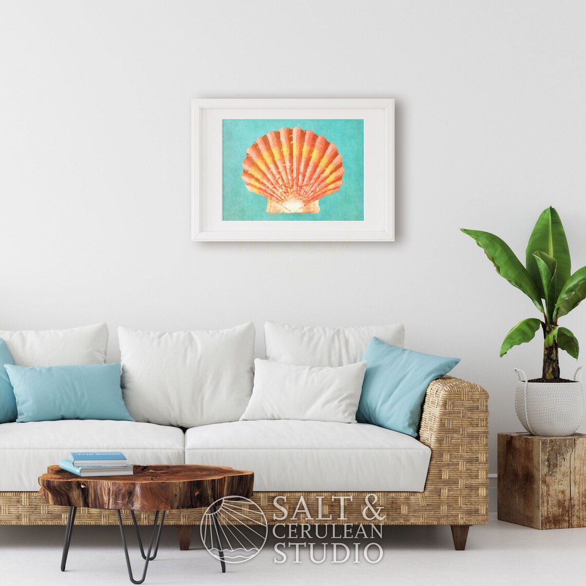 Scallop Shell Art Matted Prints 11x14 Shell Painting - Etsy