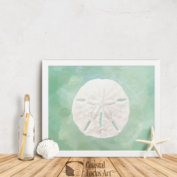 Sand Dollar Wall Art Coastal Art Sea Shell Art Art Prints | Etsy