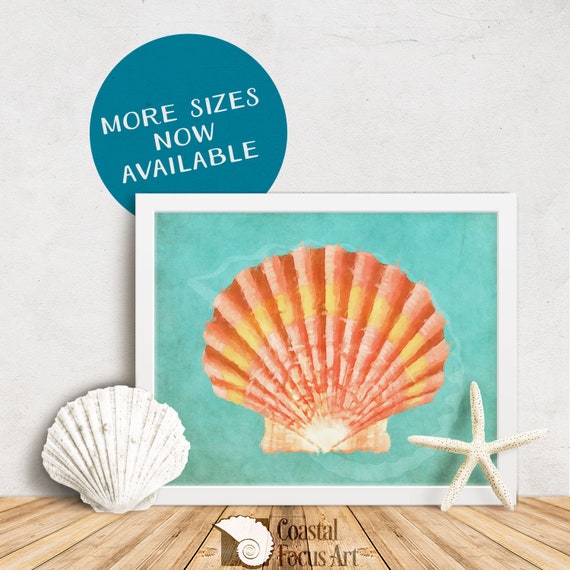 Scallop shell art matted prints 11x14 shell painting | Etsy