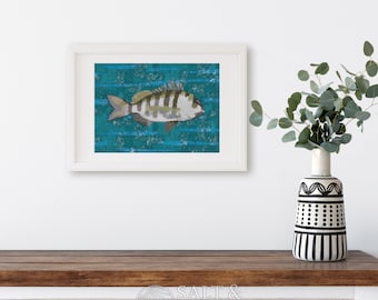 Sheepshead School Fish Print - Etsy