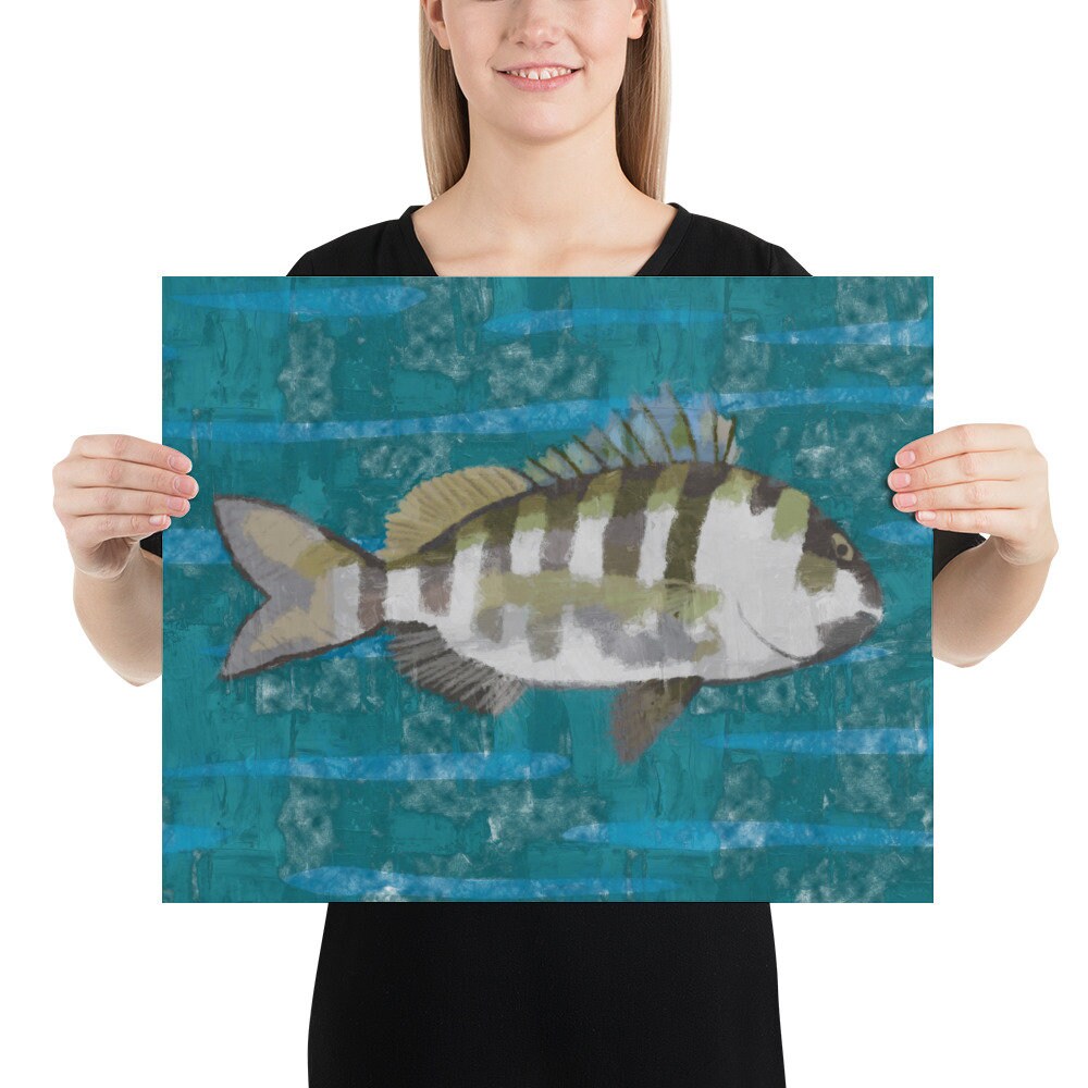 Sheepshead Saltwater Fish Art Print - Etsy UK